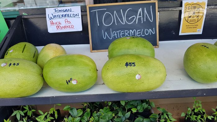 NZ$55 Tongan watermelon spotted at Auckland dairies - Kaniva Tonga News