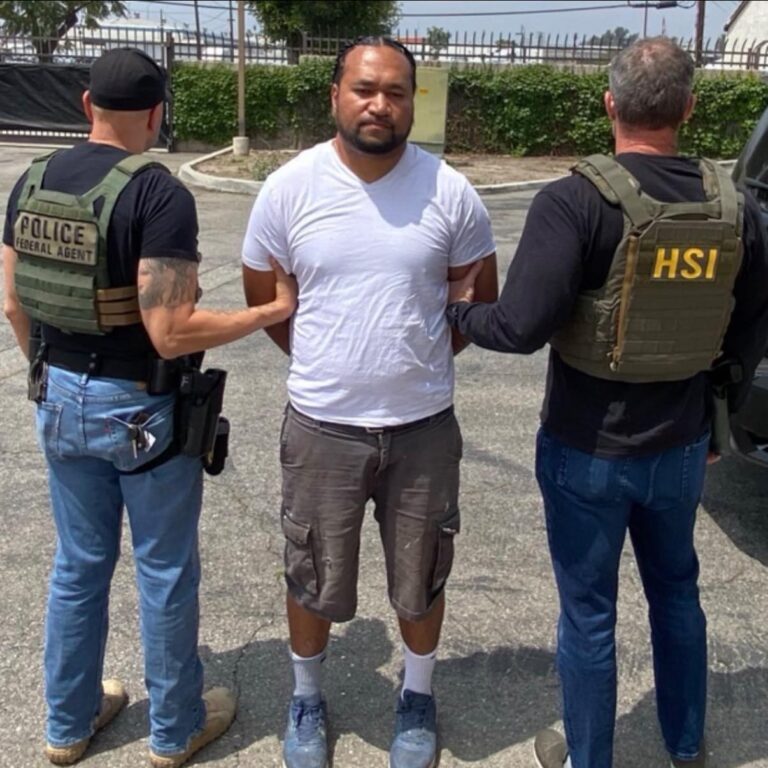 ‘YES or NO’ US poll on deporting felons goes viral after Tongan ...