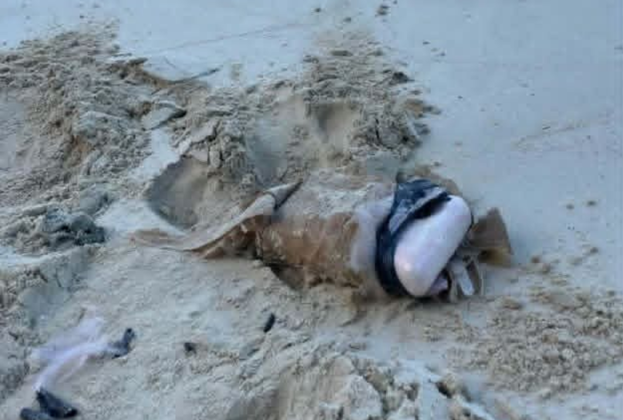 More suspected drug packages wash ashore on Vava’u beaches | Kaniva ...