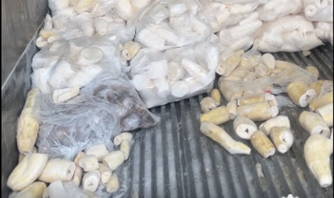 Tongan produce shipment spoils in US, sparks sympathy, raises handling ...